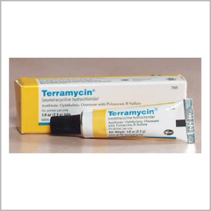 LIBAN & IMAN Company