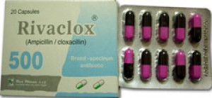 LIBAN & IMAN Company